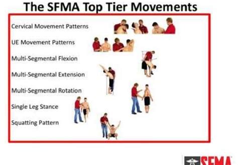 Functional Movement Systems Overview Infographic