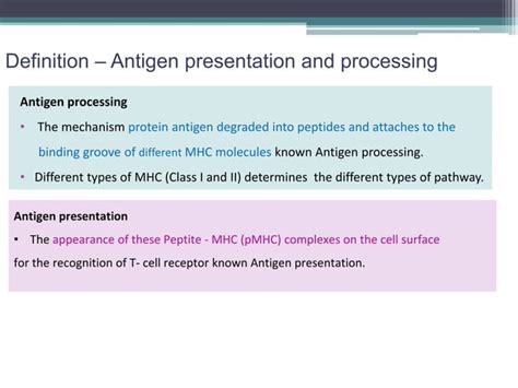 Exogenous Antigen Presentation And Processing Pptx