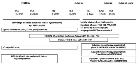 Treatment Algorithm For Cervical Cancers According To Figo