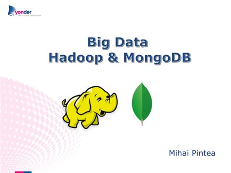Big Data Hadoop Vs Mongodb