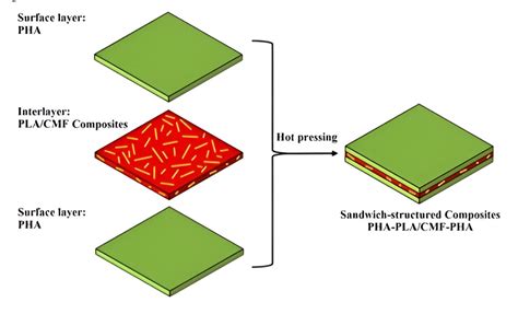 A Novel Sandwich Structured Composite From Biopolymers For Building Envelope Applications