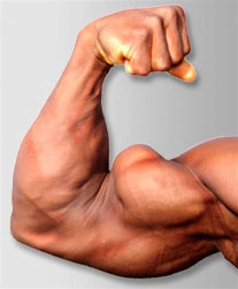 Secrets To Building Big Arms Buff Arm Png Strong Arm Picture Muscle Arm