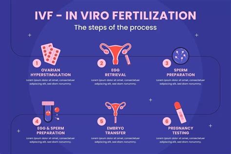 Fertility Preservation Options And Importance Ferty9 Fertility Preservation Options And Importance Ferty9