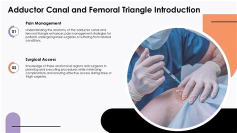 Adductor Canal Femoral Triangle Ppt Outline Acp Ppt Slide