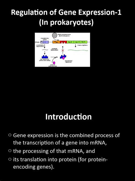 Lac Operon And Try Operon Pdf Operon Repressor