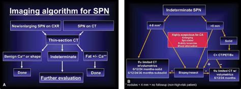 Pulmonary Neoplasms Radiology Key