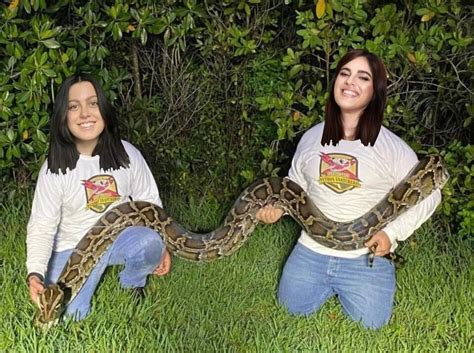 Carmen Domínguez Rodríguez On Linkedin Python Seo Techseo