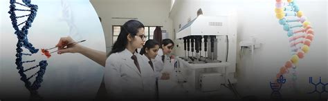 School Of Life Science And Technology Best Biotechnology And Life Science