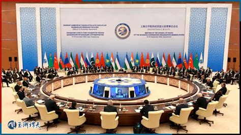 数读丨中阿务实合作成果 国际新闻 烟台新闻网 胶东在线 国家批准的重点新闻网站