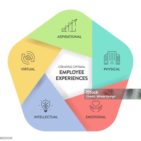 최적의 직원 경험 전략 프레임워크 만들기 라인 아이콘 벡터 템플릿이 있는 인포그래픽 다이어그램 차트 일러스트레이션 배너에는 열망적 신체적 감정적 지적 및 가상이 있습니다