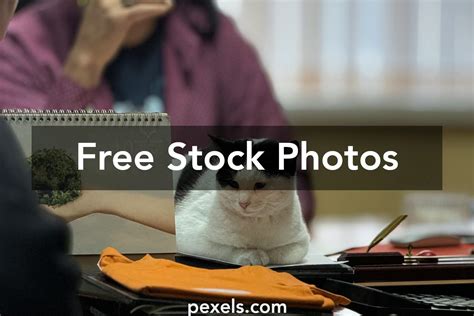 Office Animated Photos Download The Best Free Office Animated Stock