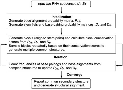 Flowchart Of The Sampling Algorithm On Two Rna Sequences Download
