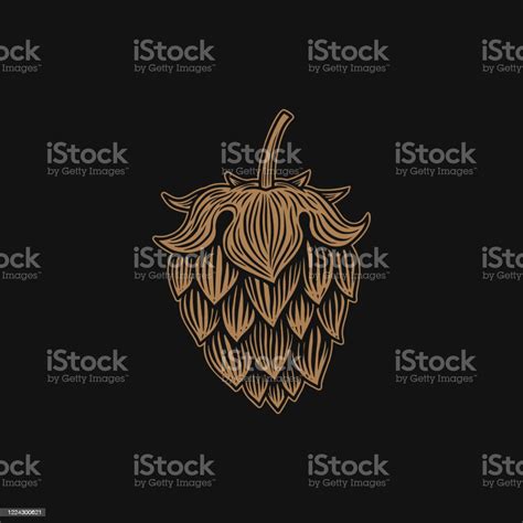 조각 스타일의 맥주 홉의 그림 포스터 라벨 기호 엠블럼 메뉴에 대한 디자인 요소 벡터 일러스트레이션 크래프트맥주에 대한 스톡 벡터 아트 및 기타 이미지 Istock