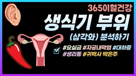 귀분석코칭비뇨생식기이혈테라피 요실금 자궁내막염 생리통전립선 Youtube