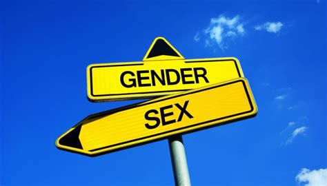 Sex Vs Gender Are Insurers Being Clear Enough During The Application