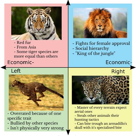 Corrected Big Cat Compass Rpoliticalcompassmemes
