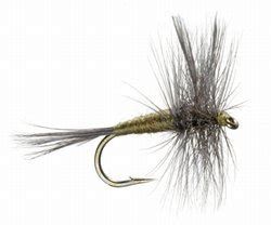 Fly Of The Month Club Blue Wing Olive Dry Fly