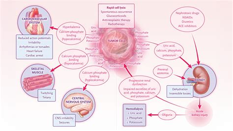 The New England Journal Of Medicine What Is The Most Likely Cause Of