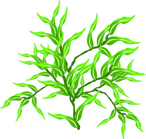 Branch Tree Branch Plant 9313169 PNG