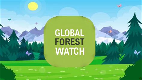 Mochammad Dandy Firmansyah Kabasa Tv Youtube