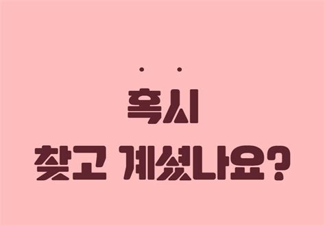 기모 커플티강추하얀댕댕이맨투맨 귀여운 흰둥이 강아지 라운드넥 루즈핏 면 가을 U넥 유넥 긴팔 Mtm 티셔츠