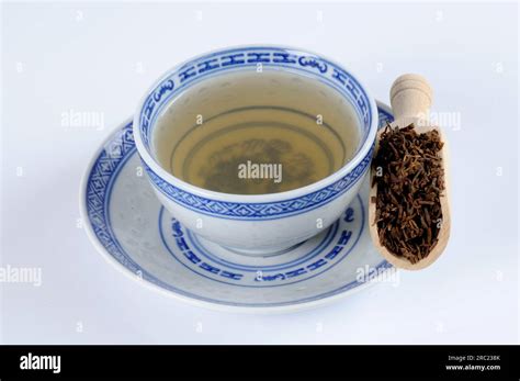 Cup Of Aster Root Tea Asteris Radix Zi Wan Aster Root Tea Stock