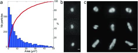 Surface Contamination By Fine Particles A Particle Size Distribution