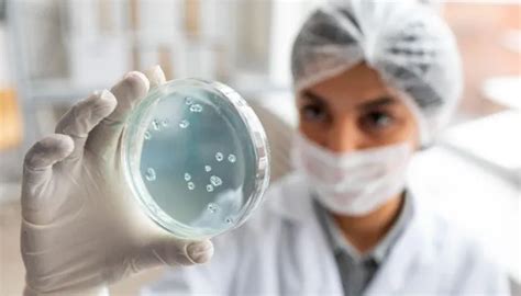 What Is Stem Cell Preservation Benefits And Process Apollo Cradle