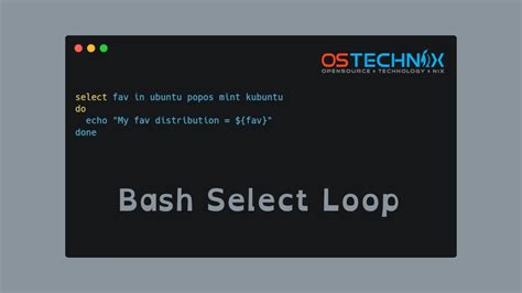 bash scripting select loop explained with examples r sysadminblogs