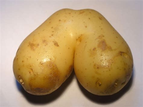 My Attempt On Getting To Front Page On 29th Good Luck Potato Boobs Album On Imgur