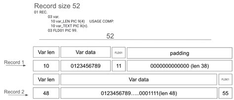 Copybook Mainframe At Carolyn Wilson Blog