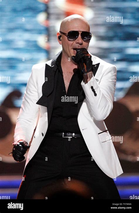 Pitbull Singer With Girls