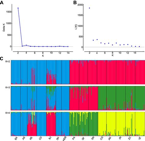 bayesian clustering results of the structure analysis for angelica