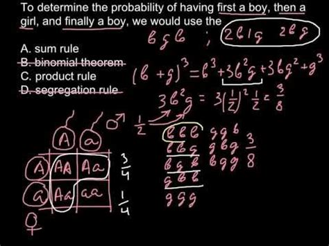 Probability In Genetics Multiplication And Addition Rules