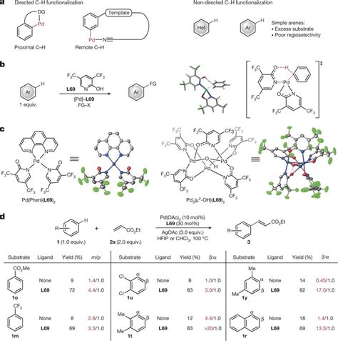 Ch Functionalization Of Arenes A Directed Left And Non Directed Download Scientific Diagram