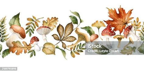 버섯과 단풍의 이음새가 없는 테두리 수채화 손으로 그린 꽃 고립 된 그림 가을 디자인 카드에 대 한 가을에 대한 스톡 벡터 아트 및 기타 이미지 Istock