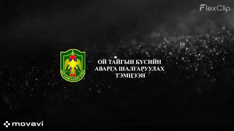 Oi Taigiin Bus Temtseen Youtube