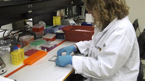 Droplet Barcoding Based Single Cell Transcriptomics Of Adult Mammalian Tissues