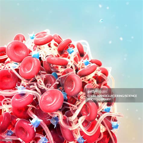 Blood Clot Illustration High Res Vector Graphic Getty Images