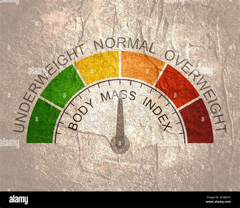 body mass index meter read normal level result color scale with arrow