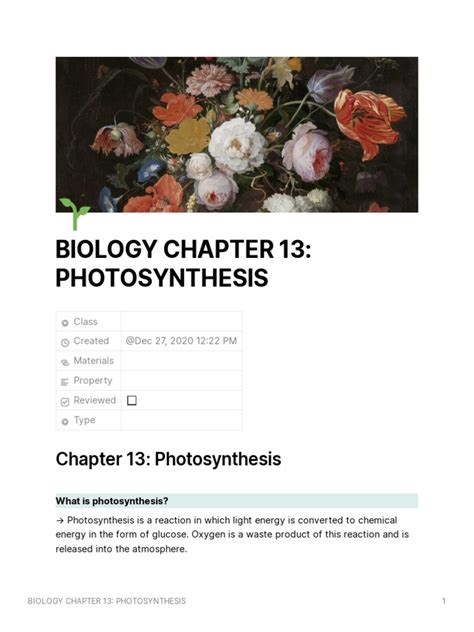 Biology Chapter 13 Photosynthesis Pdf Photosynthesis Biology