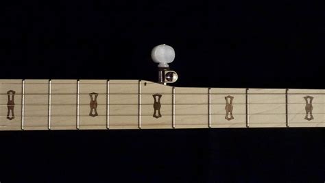 Deering Goodtime Acousticelectric 5 String Banjo Banjo Studio