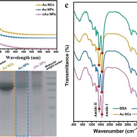 Characterization Of The Three Types Of Nanomaterials A Download