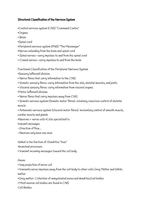 Structural Classification Of The Nervous System Structural Classification Of The Nervous