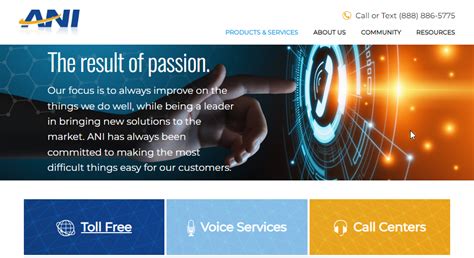 Ani Networks Website Screenshot