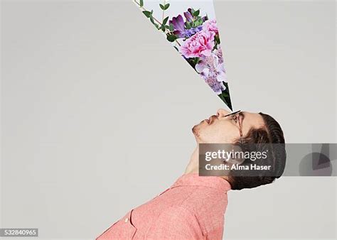 Identifying Patterns Photos And Premium High Res Pictures Getty Images