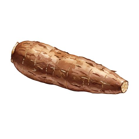 A Single Cassava Root Vegetable With Its Brown Skin Shown On A Plain