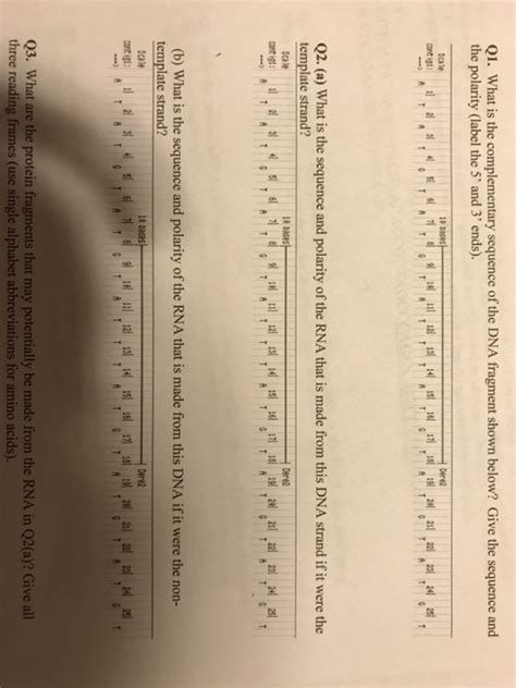 Solved What Is The Complementary Sequence Of The Dna