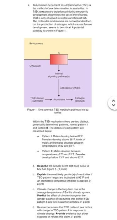 Solved 4 Temperature Dependent Sex Determination TSD Is Chegg Com