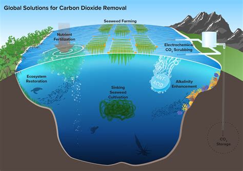 How Much Carbon Is In The Ocean At April Hyde Blog